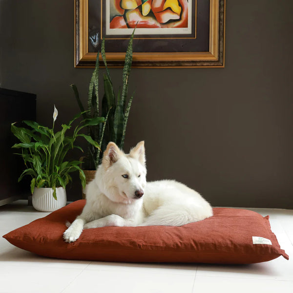 Life of Riley - The Swag Bed incl. mattress protector - It's Organic ...